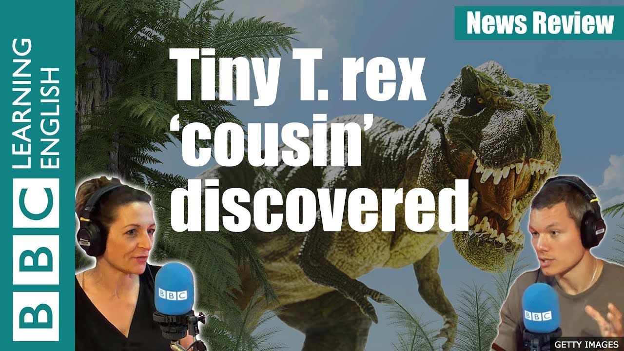 Tiny ‘cousin’ of T.rex discovered – News Review – SamSmithEnglish ...